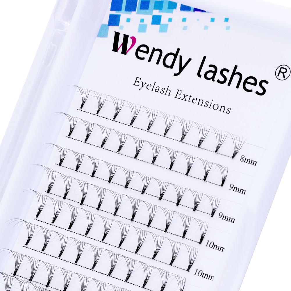 6D PRE-MADE FANS VOLUME LASHES – Wendylash