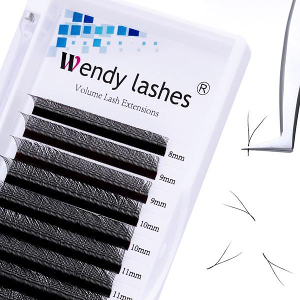 Y-Shaped Eyelash Extension Pre-made Volume Two Tip Lashes C/D/L Curl ...
